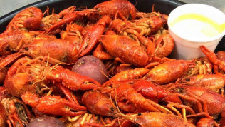 Cajun Food, Catering Service, Crawfish Seafood Boil: Lafayette, LA: The ...
